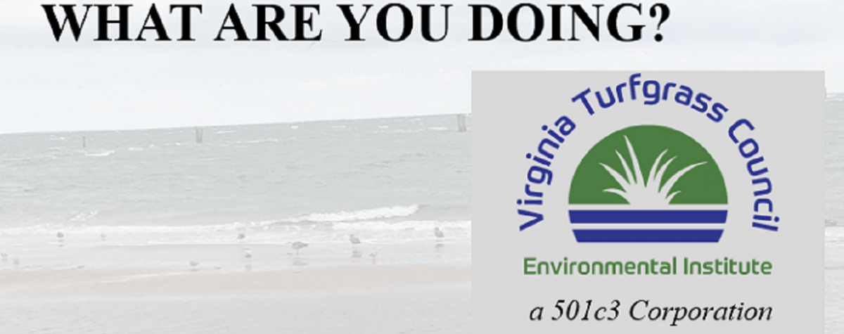 Donate to the Environmental Institute – Virginia Turfgrass Council